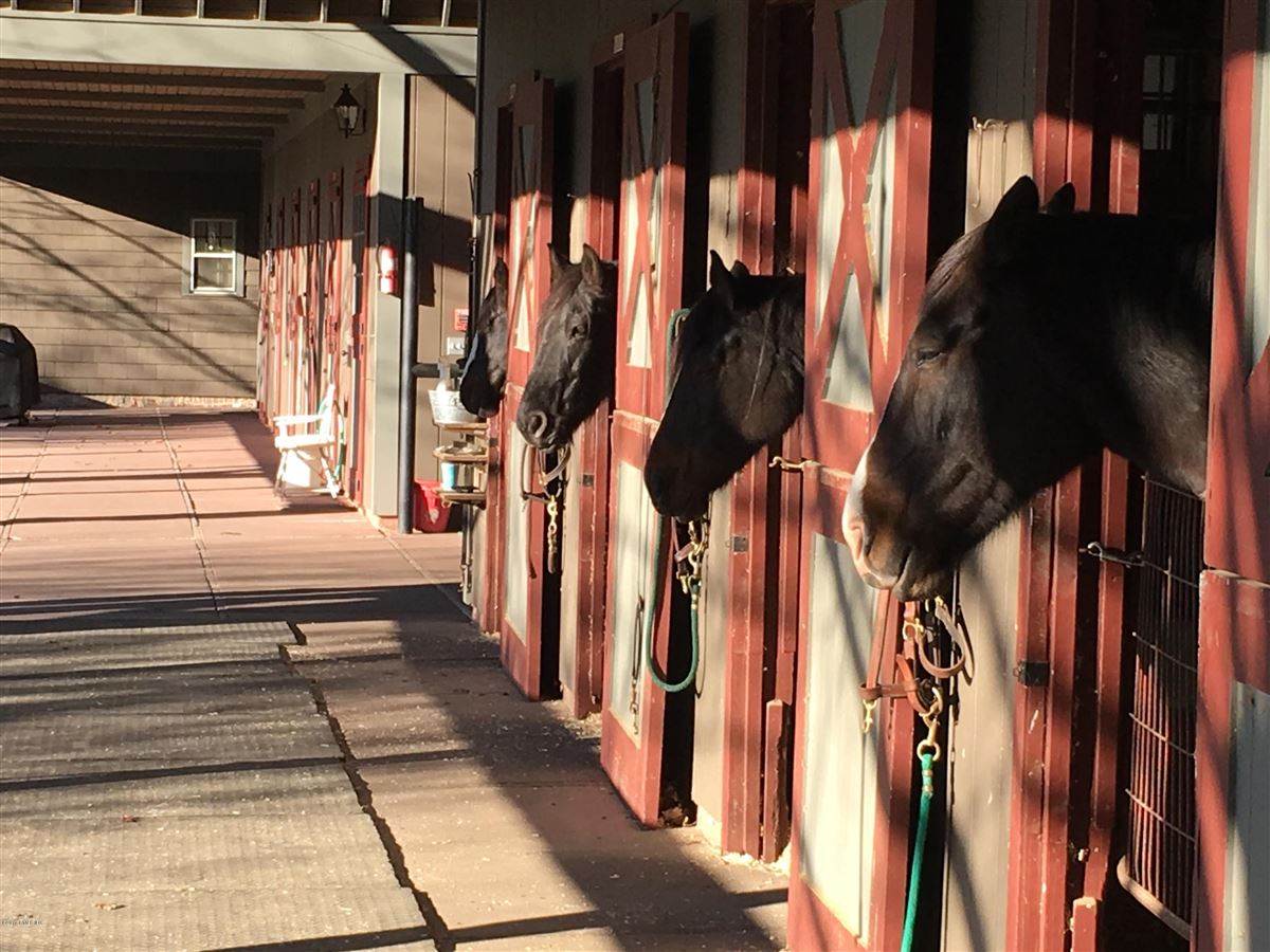 IMPRESSIVE PALATIAL ESTATE | Connecticut Luxury Homes | Mansions For ...